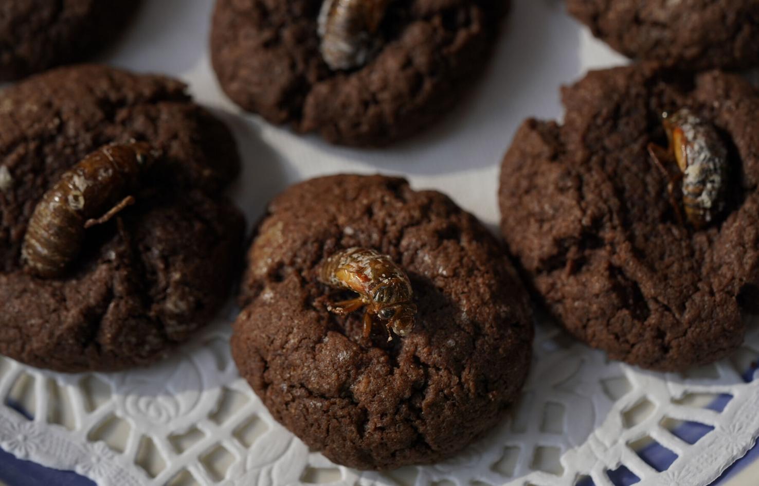 Yes, cicadas are edible. They can adorn cookies, be deep-fried and more
