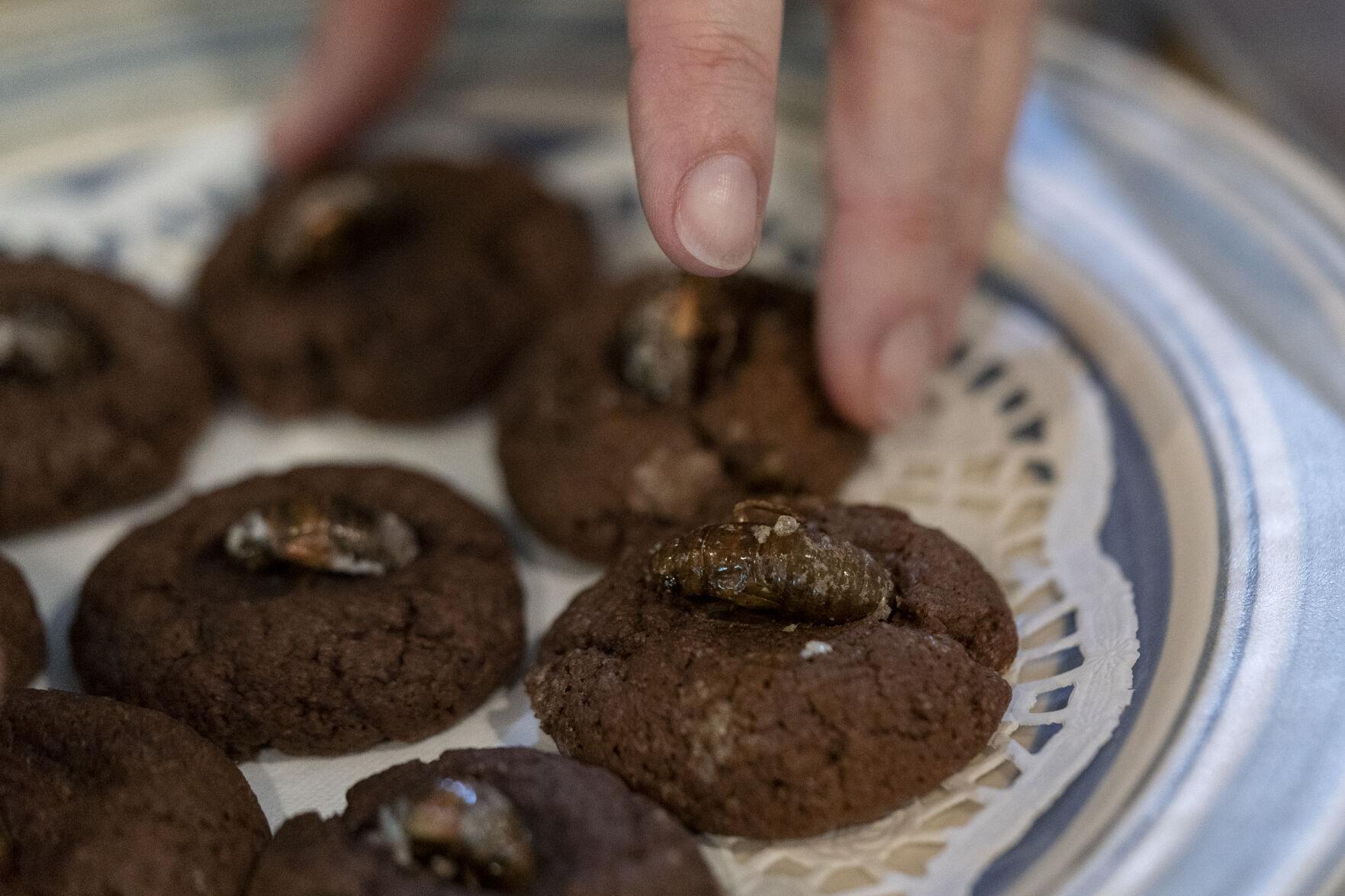 Yes, cicadas are edible. They can adorn cookies, be deep-fried and more
