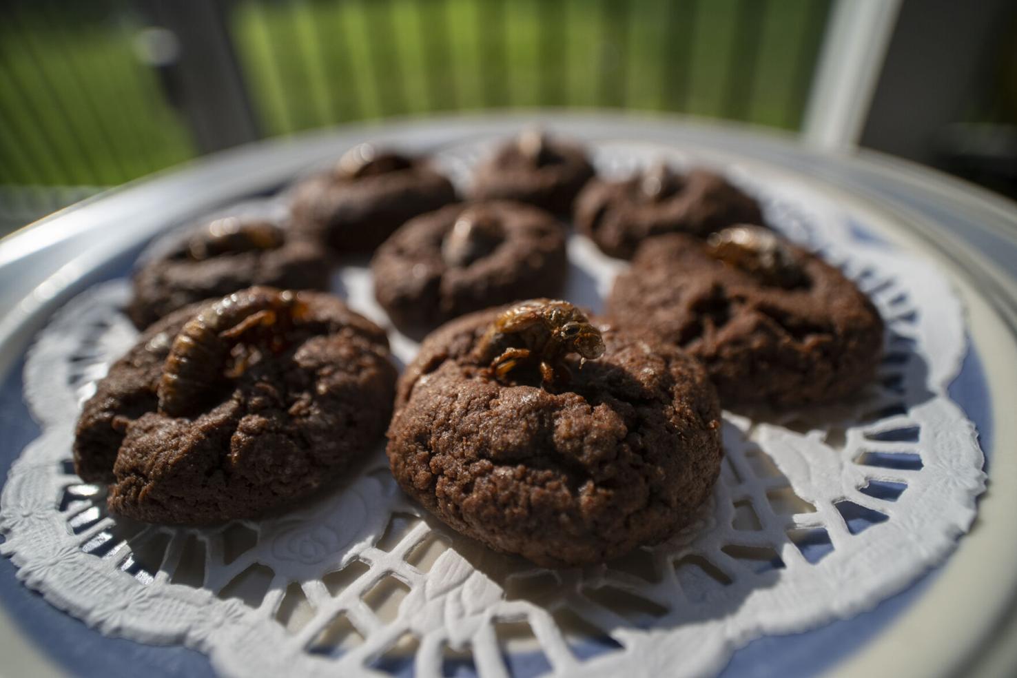 Yes, cicadas are edible. They can adorn cookies, be deep-fried and more