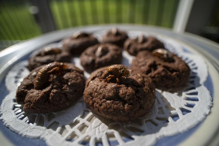 Yes, cicadas are edible. They can adorn cookies, be deep-fried and more