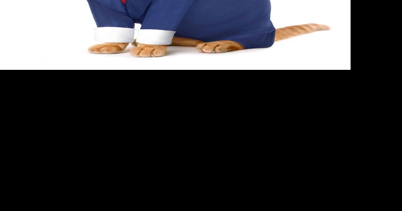 8. Business Suit Cat Costume