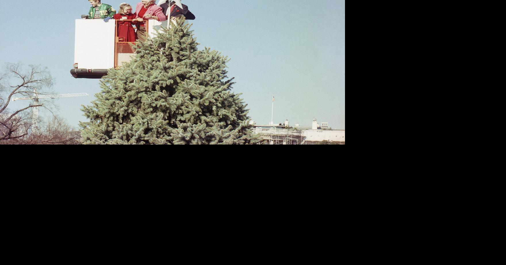 Photos: Here's a look back at 90 years of National Christmas Trees
