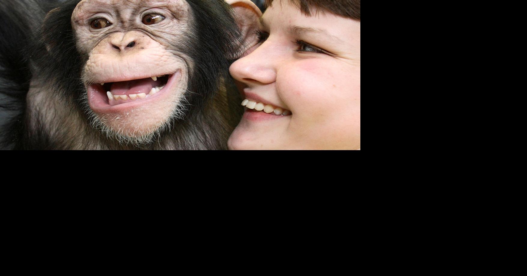 Humans and apes show similar rhythmic pattern in laughter