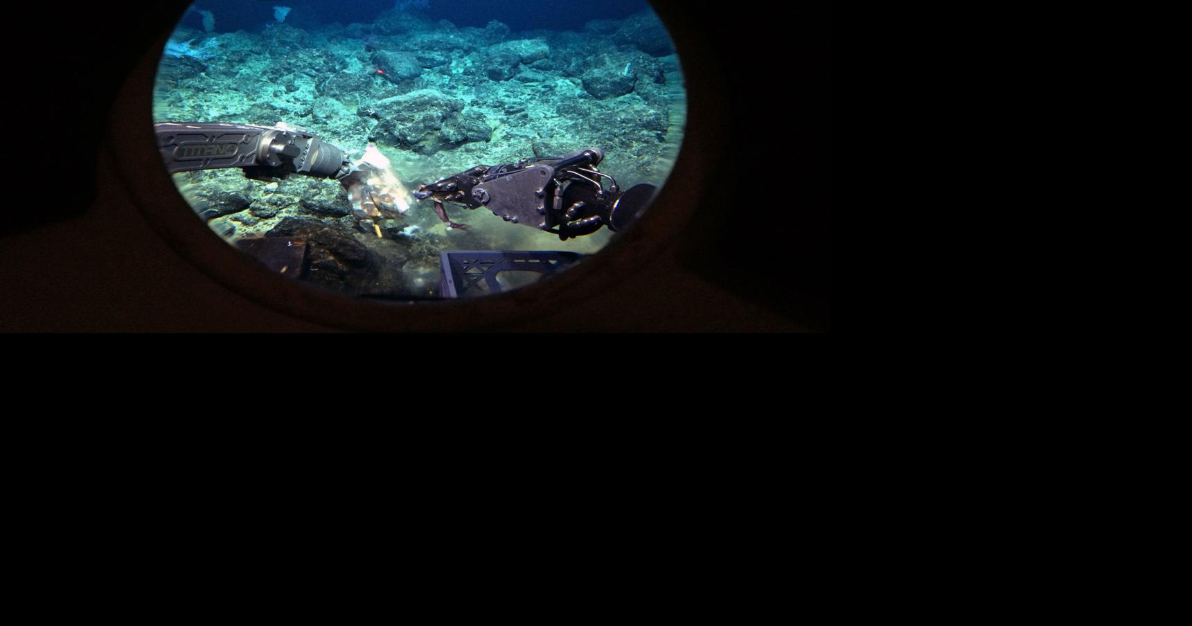 Cook seamount's never-before-seen life, in 19 photos