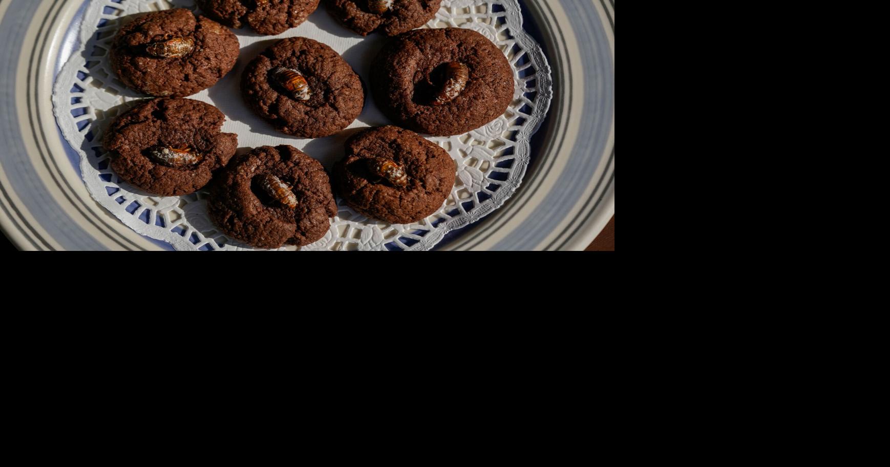 Yes, cicadas are edible. They can adorn cookies, be deep-fried and more