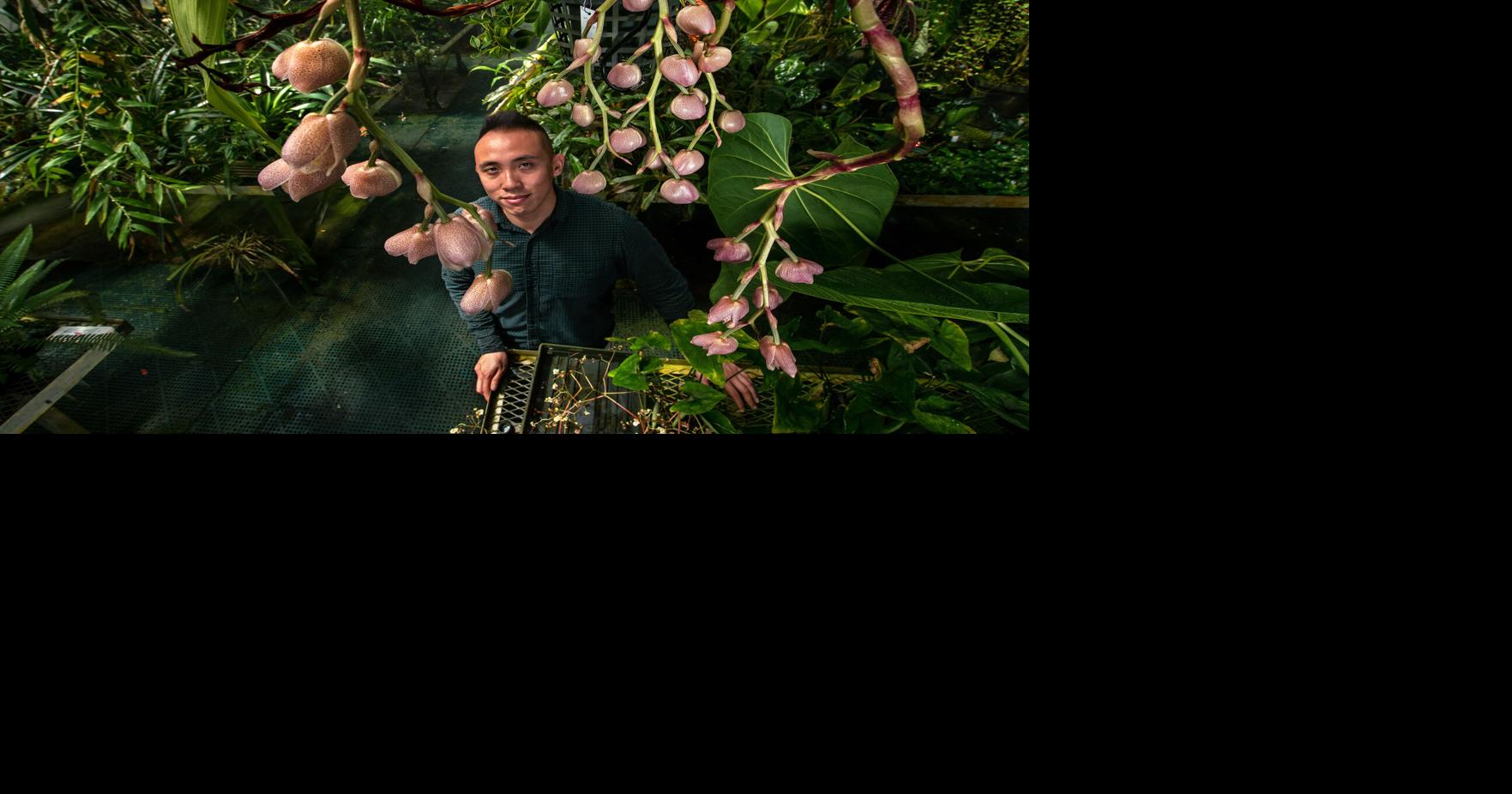 Orchids and corpse flowers delight him. A curator explains their ...