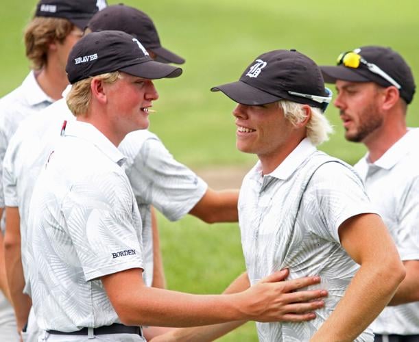 BOYS' GOLF: Agnew, Dragons take home sectional titles | Sports ...