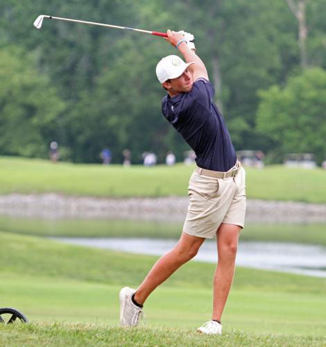 BOYS' GOLF: Agnew, Dragons take home sectional titles | Sports ...
