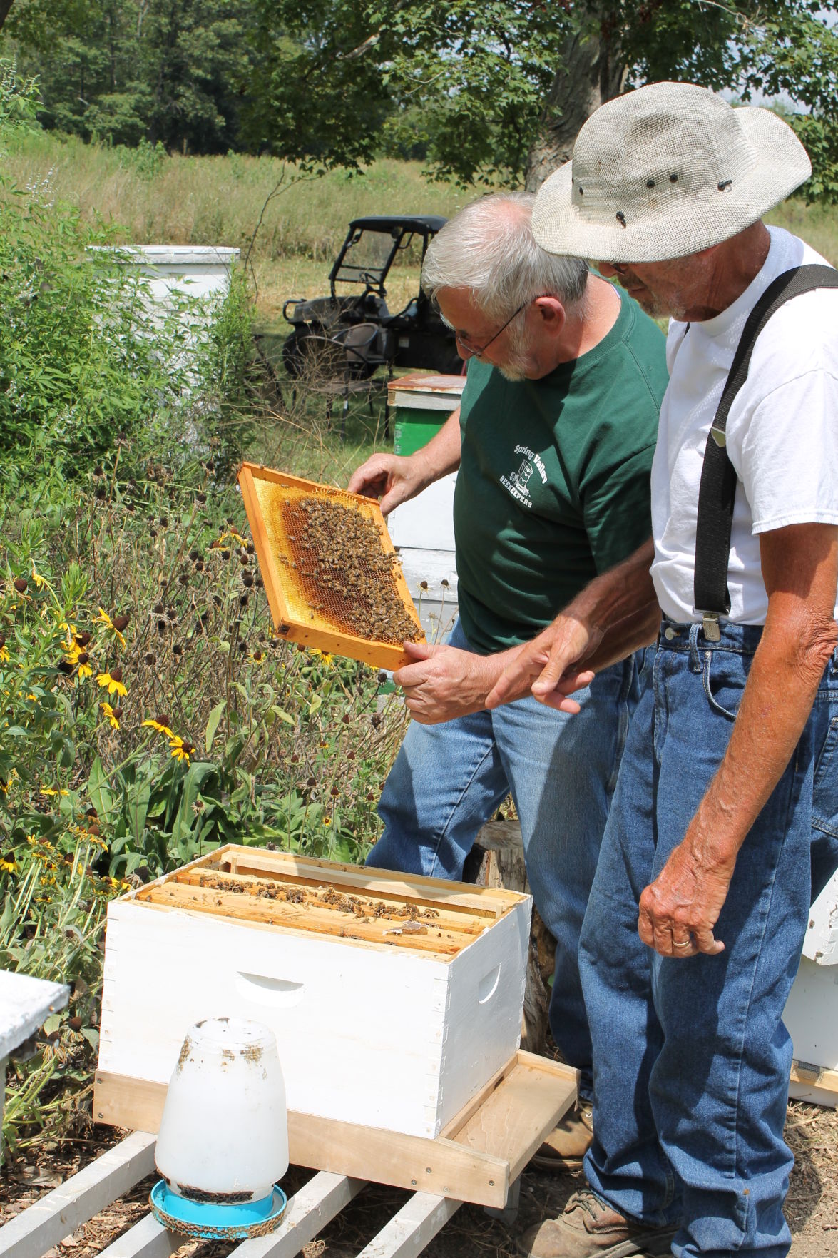 Southern Indiana beekeepers buzzing over legislation | News ...