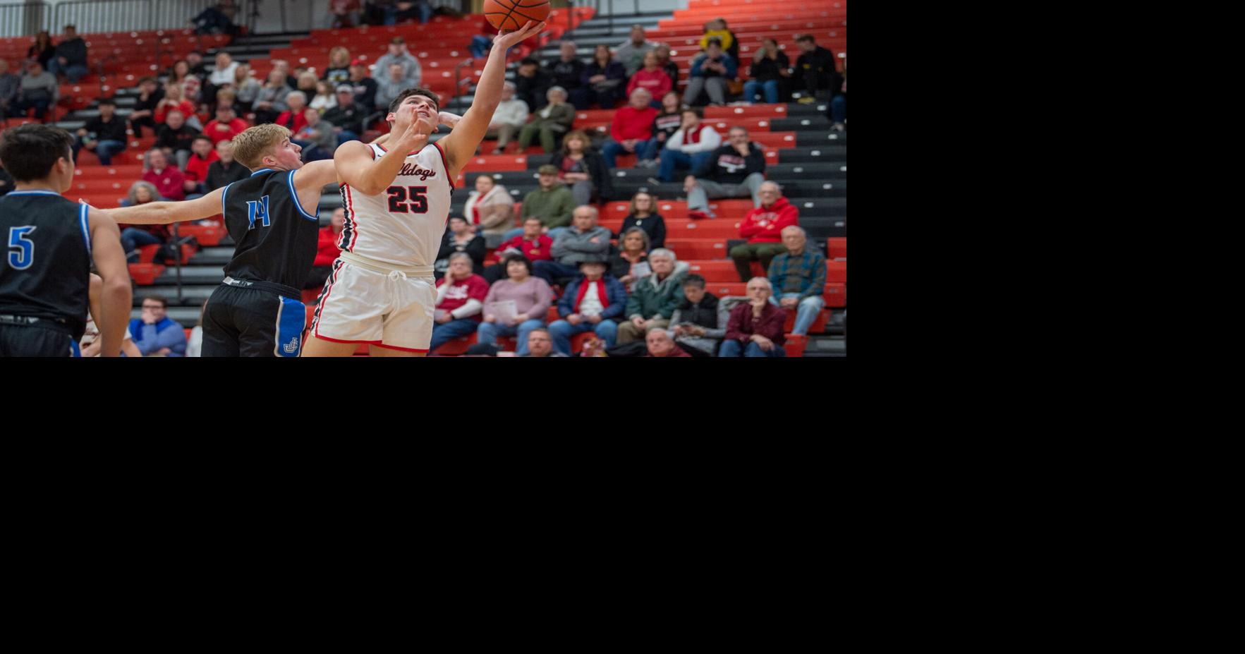 BOYS' BASKETBALL: Panthers power past 'Dogs | Sports | newsandtribune.com