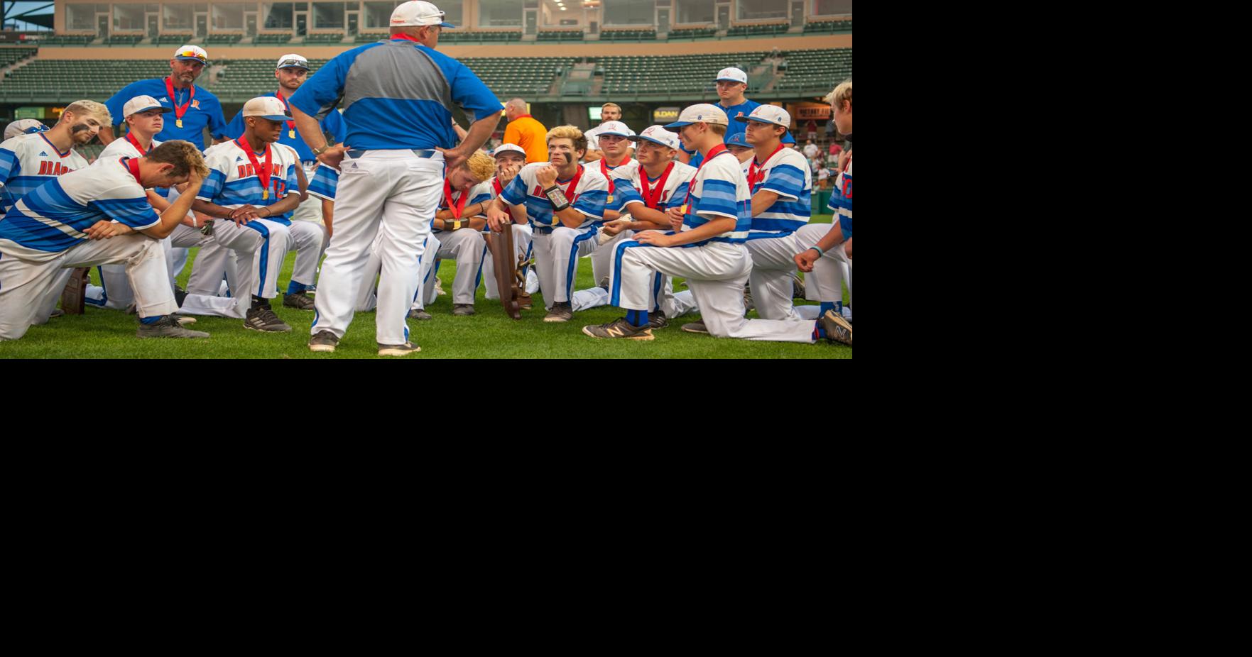 BASEBALL: Dragons fall to Andrean 6-1 in state championship game ...