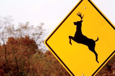 deer aware