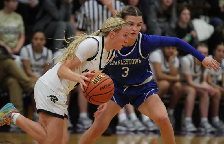 GIRLS' BASKETBALL: Panthers, Dragons advance with 1st-round wins ...