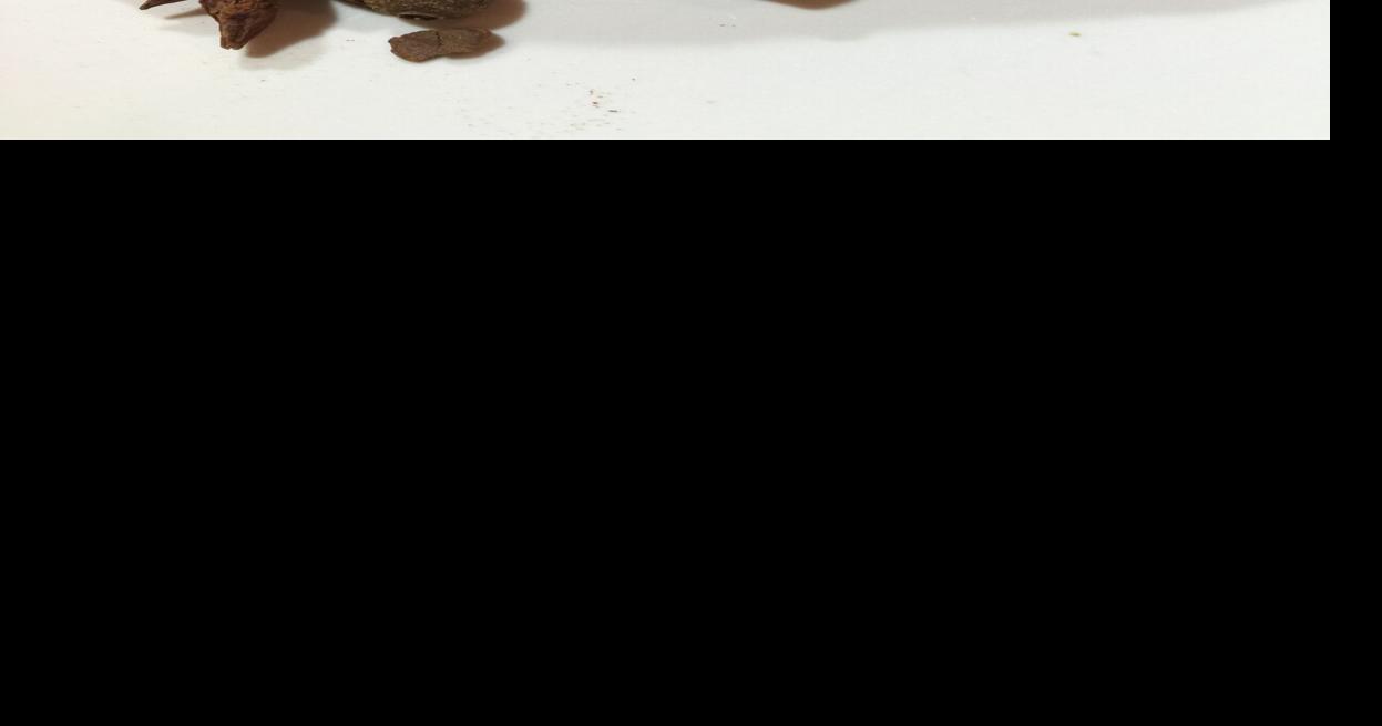 JANET STEFFENS: Delicious baked pears are heart-healthy | News ...