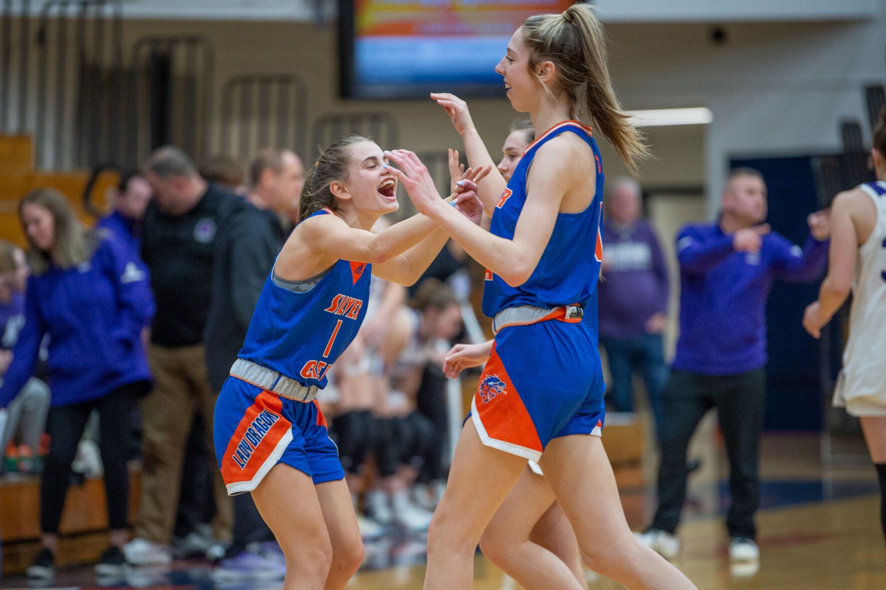 GIRLS' BASKETBALL: Dragons advance to sectional final | Sports ...