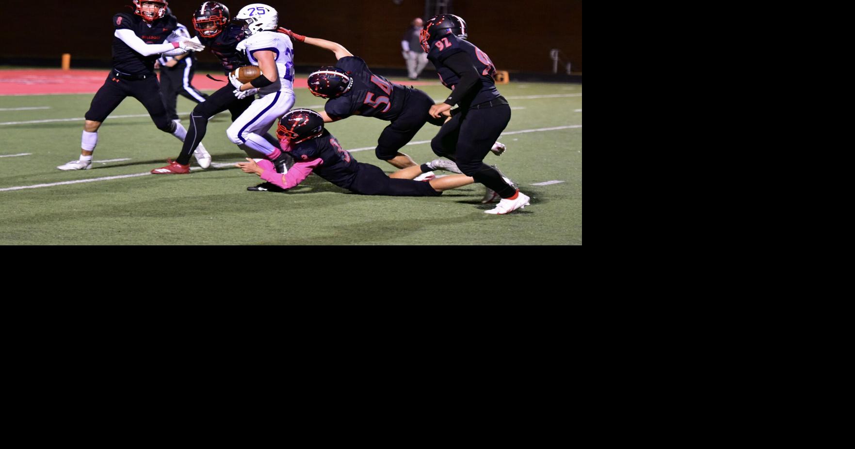 HIGH SCHOOL FOOTBALL: Owls end losing streak to Bulldogs | Sports ...