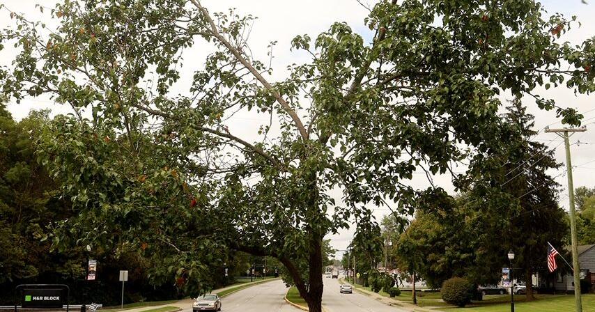 Cyberattack on American Water — but no threat to water | News ...