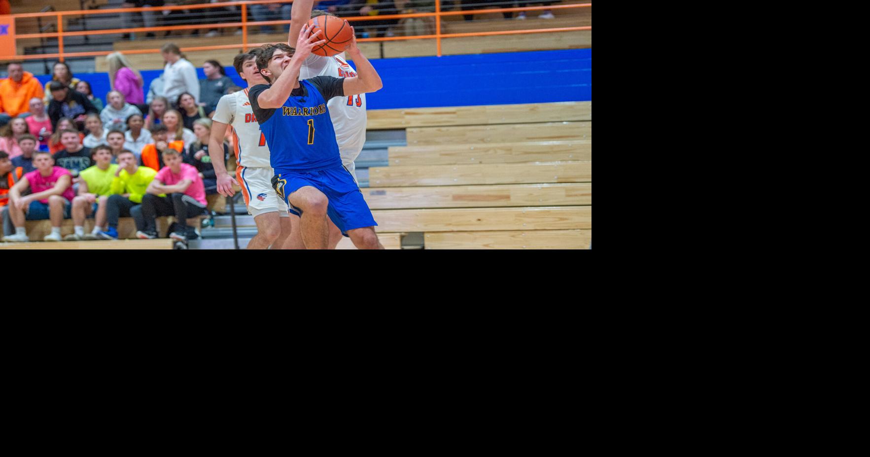 BOYS' BASKETBALL ROUNDUP: Warriors sting Hornets | Sports ...