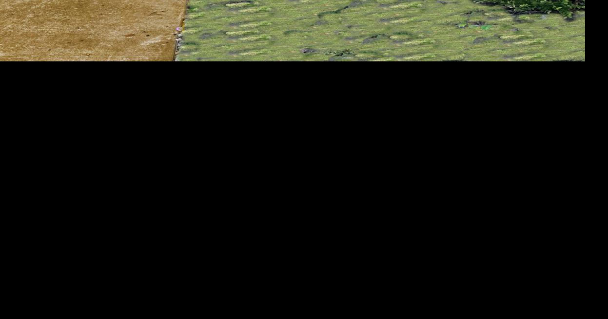 NoCo Art Center to display local art in incoming digital gallery | News ...