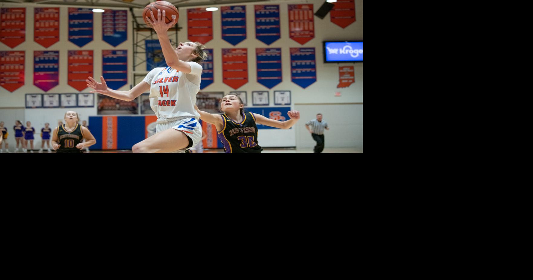 GIRLS' BASKETBALL ROUNDUP: Dragons beat Brownstown Central Braves ...