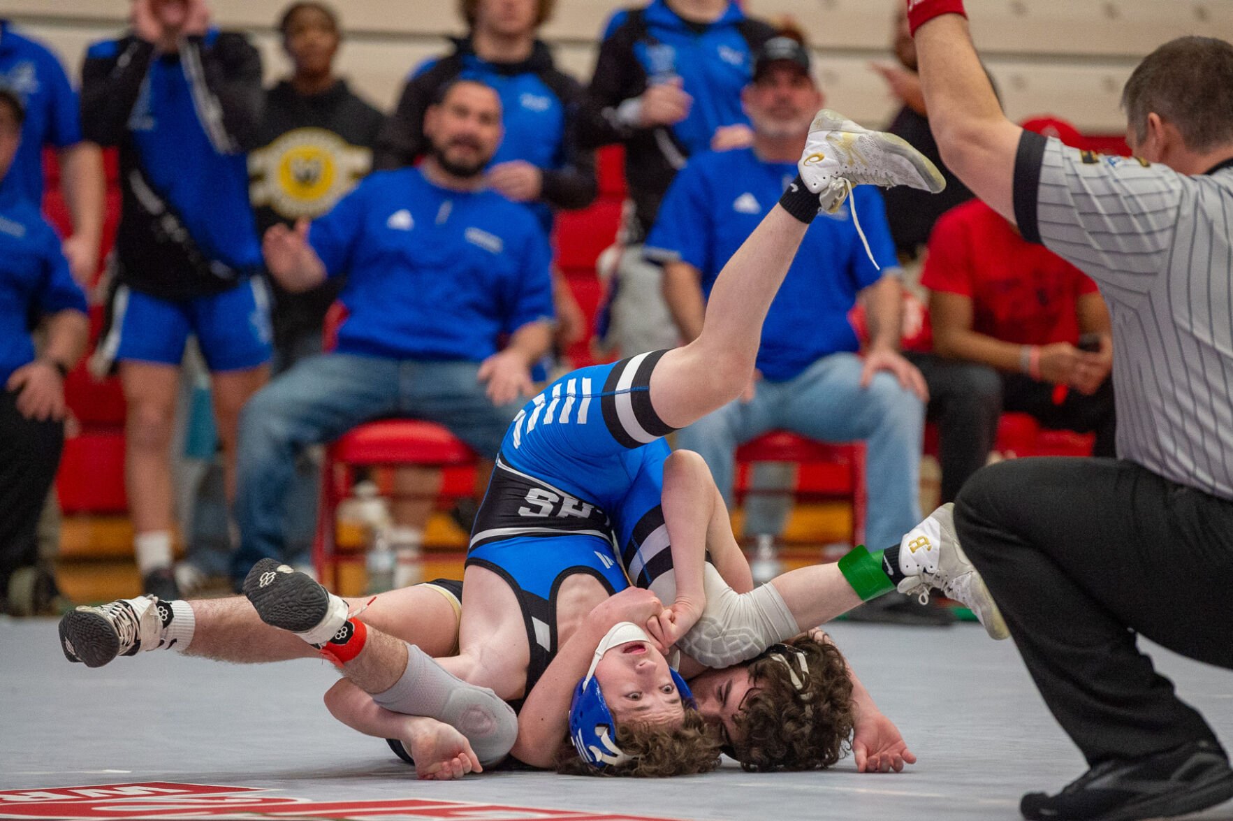 BOYS' WRESTLING ROUNDUP: Red Devils capture 4th straight sectional ...