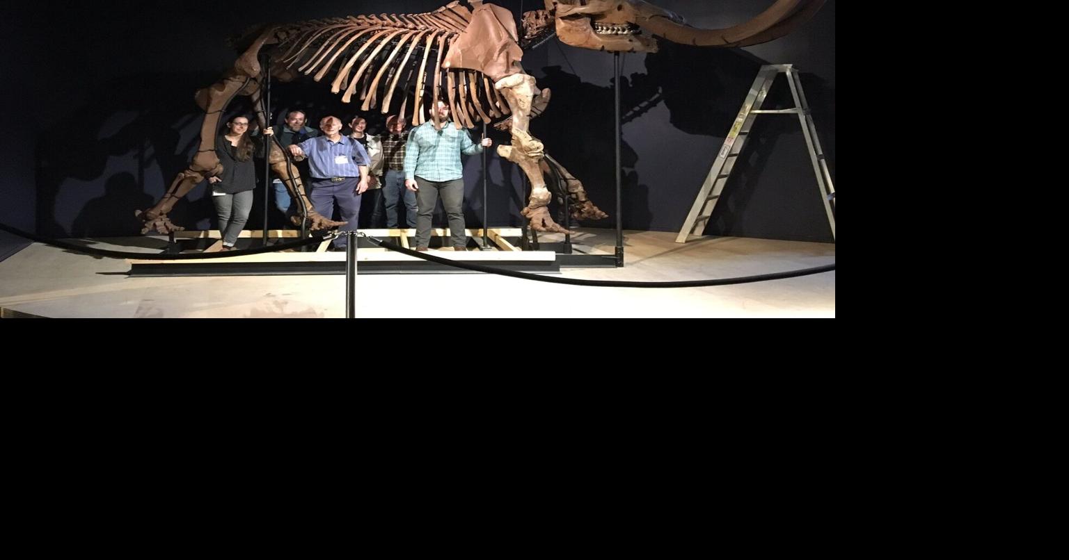 Mastodons, frequently found in Indiana, could become first 'national ...