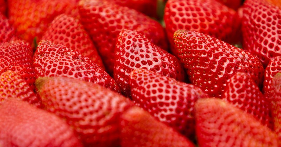 Strawberry season kicks off Saturday in Southern Indiana | News ...
