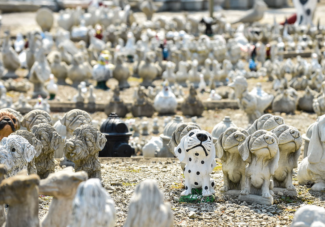 The Concrete Lady presents annual trade show in Otisco | News ...