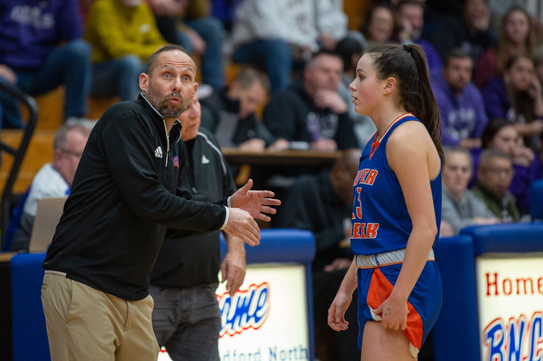 GIRLS' BASKETBALL PREVIEW: Dragons have high expectations | Sports ...