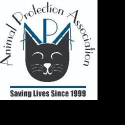 Season's Greetings from the Fabulous Felines of APA | Clark County ...