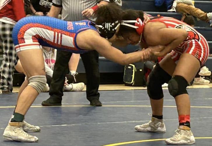 HIGH SCHOOL SPORTS NOTEBOOK: New sectional alignments approved in six ...