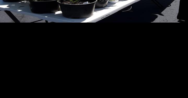 Clark County Farm Bureau teaming with Charlestown at Saturday pop-up ...