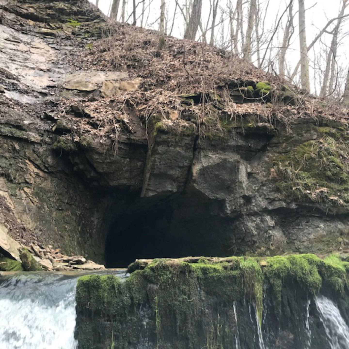 COLUMN: Top five fall/winter hikes in Southern Indiana | Sports ...