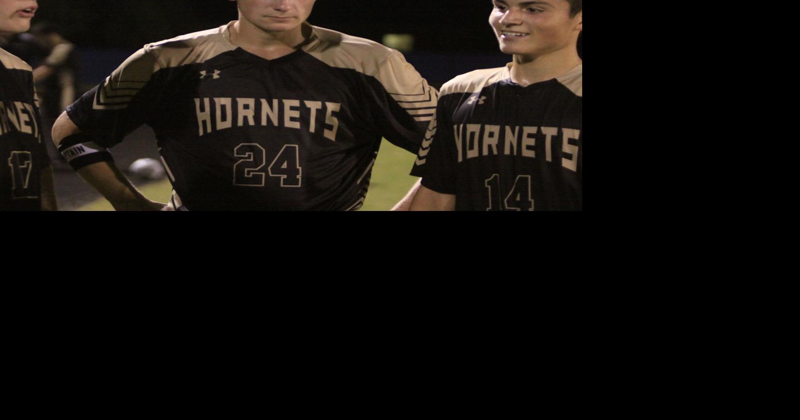 ATHLETE SPOTLIGHT: Cook helped Hornets to sectional title his sophomore ...