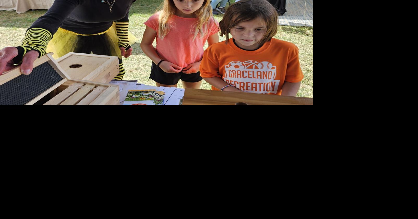 Plan Bee: Swarms and spring management | News | newsandtribune.com