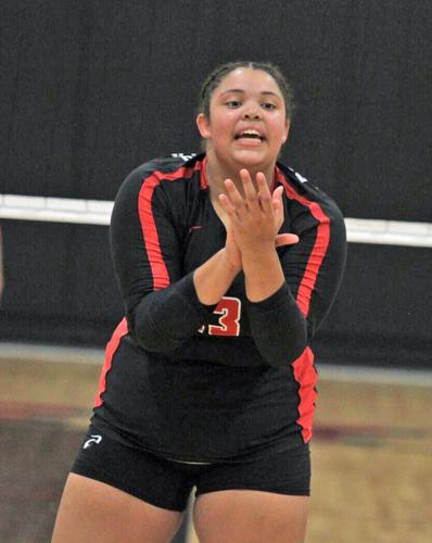 GIRLS' VOLLEYBALL: 25 players to watch in the postseason | Sports ...