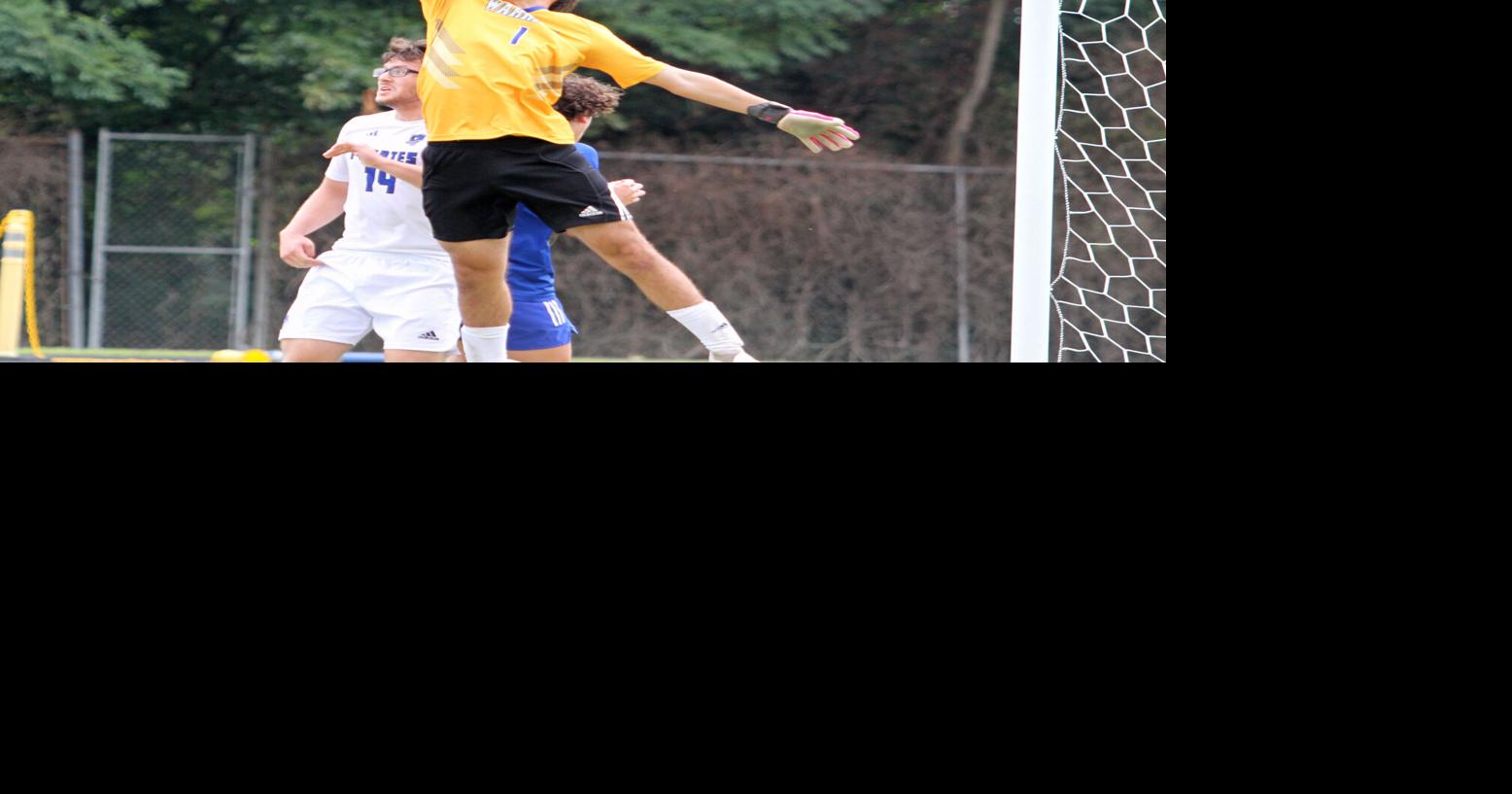 PHOTO GALLERY: Charlestown at CAI boys' soccer | | newsandtribune.com