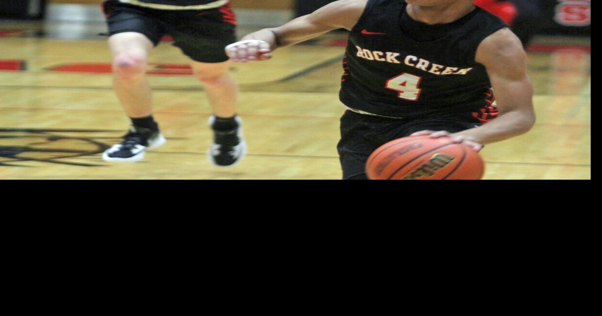 BOYS' BASKETBALL ROUNDUP: Panthers outlast Lions | Sports ...