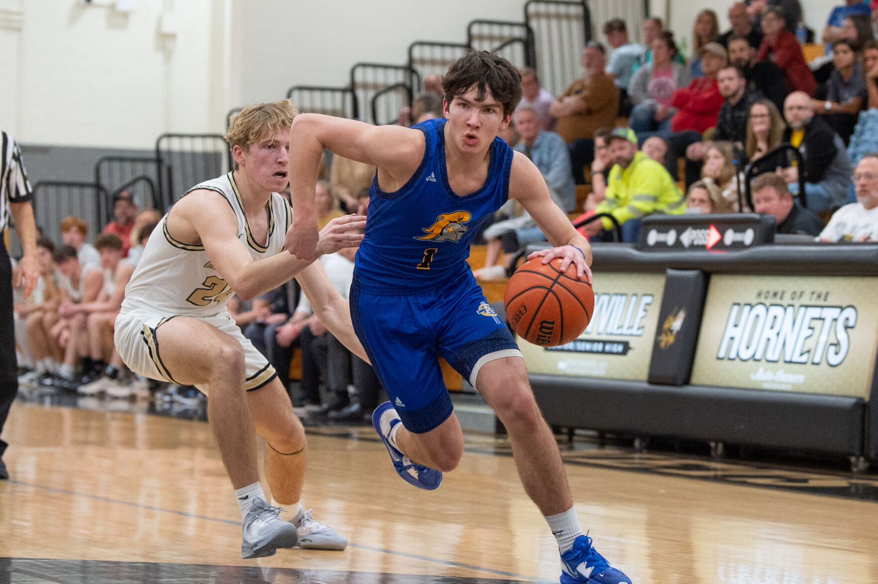 BOYS' BASKETBALL: Renfro leads Warriors over Hornets | Sports ...