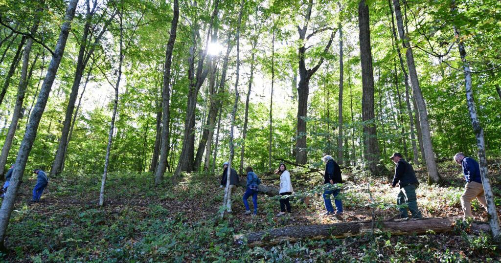 DNR celebrates 300 nature preserves, humble beginnings | News ...