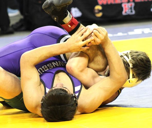 BOYS' WRESTLING: Five Highlanders advance to IHSAA State Finals ...