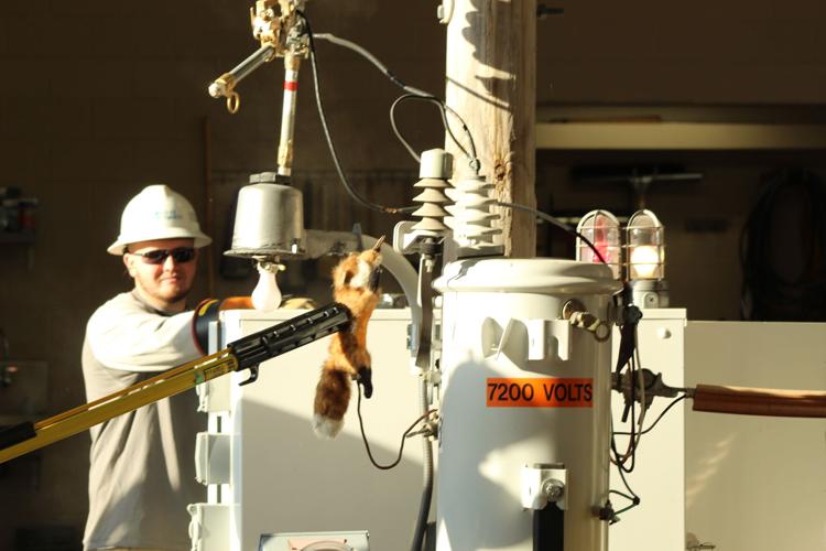 power lines demonstration