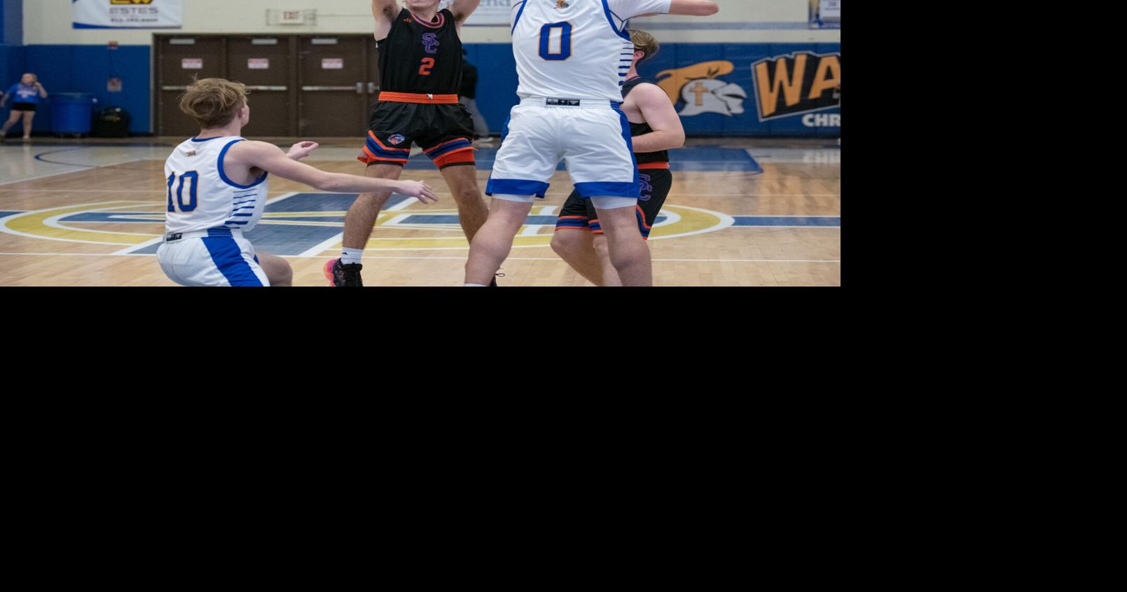 BOYS' BASKETBALL: Dragons tame Lions | Sports | newsandtribune.com