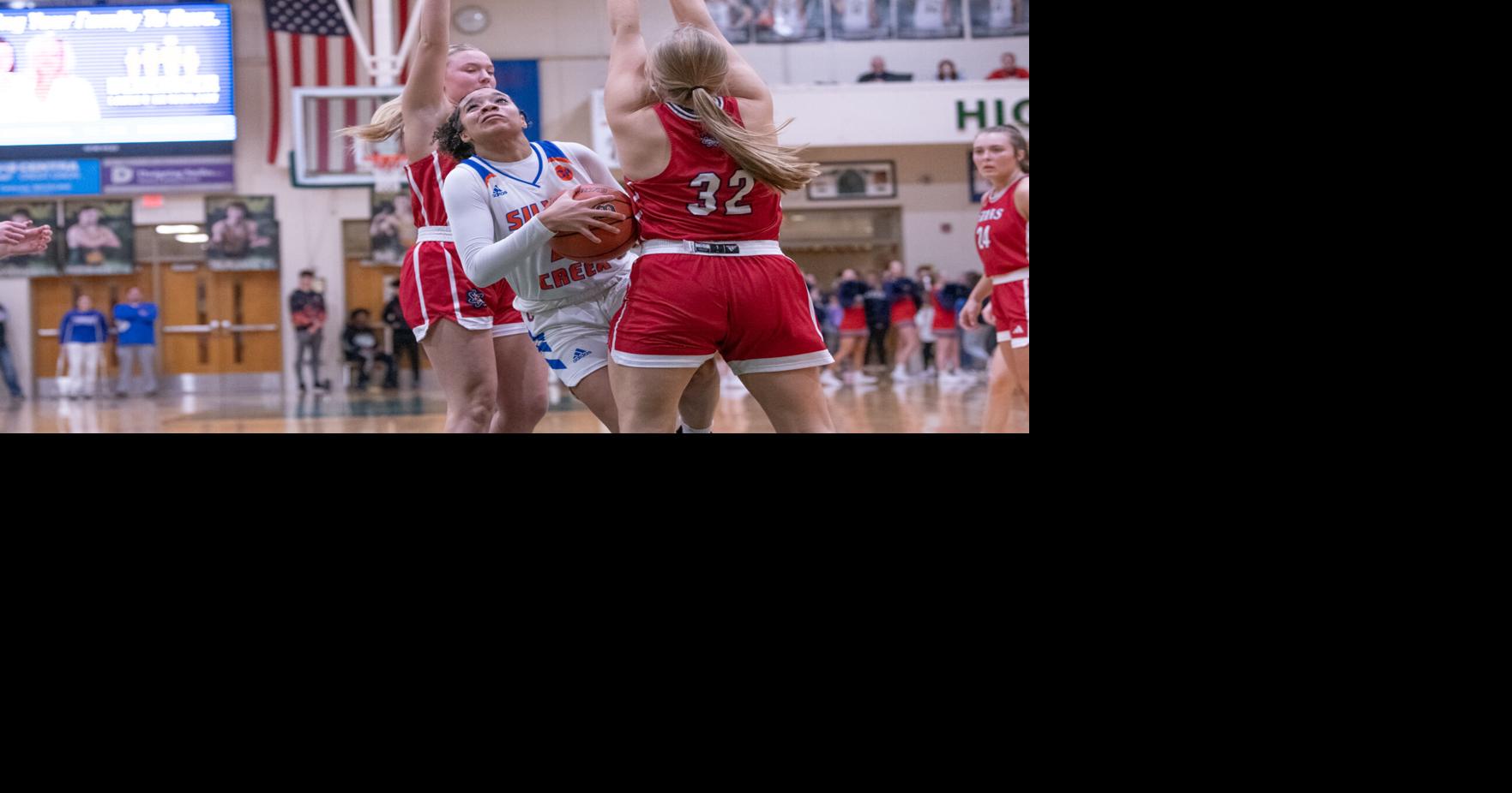 GIRLS' BASKETBALL: Red Devils, Dragons fall in semifinals | Sports ...