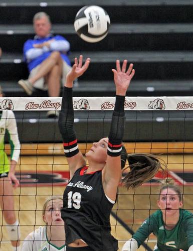 GIRLS' VOLLEYBALL: 25 players to watch in the postseason | Sports ...