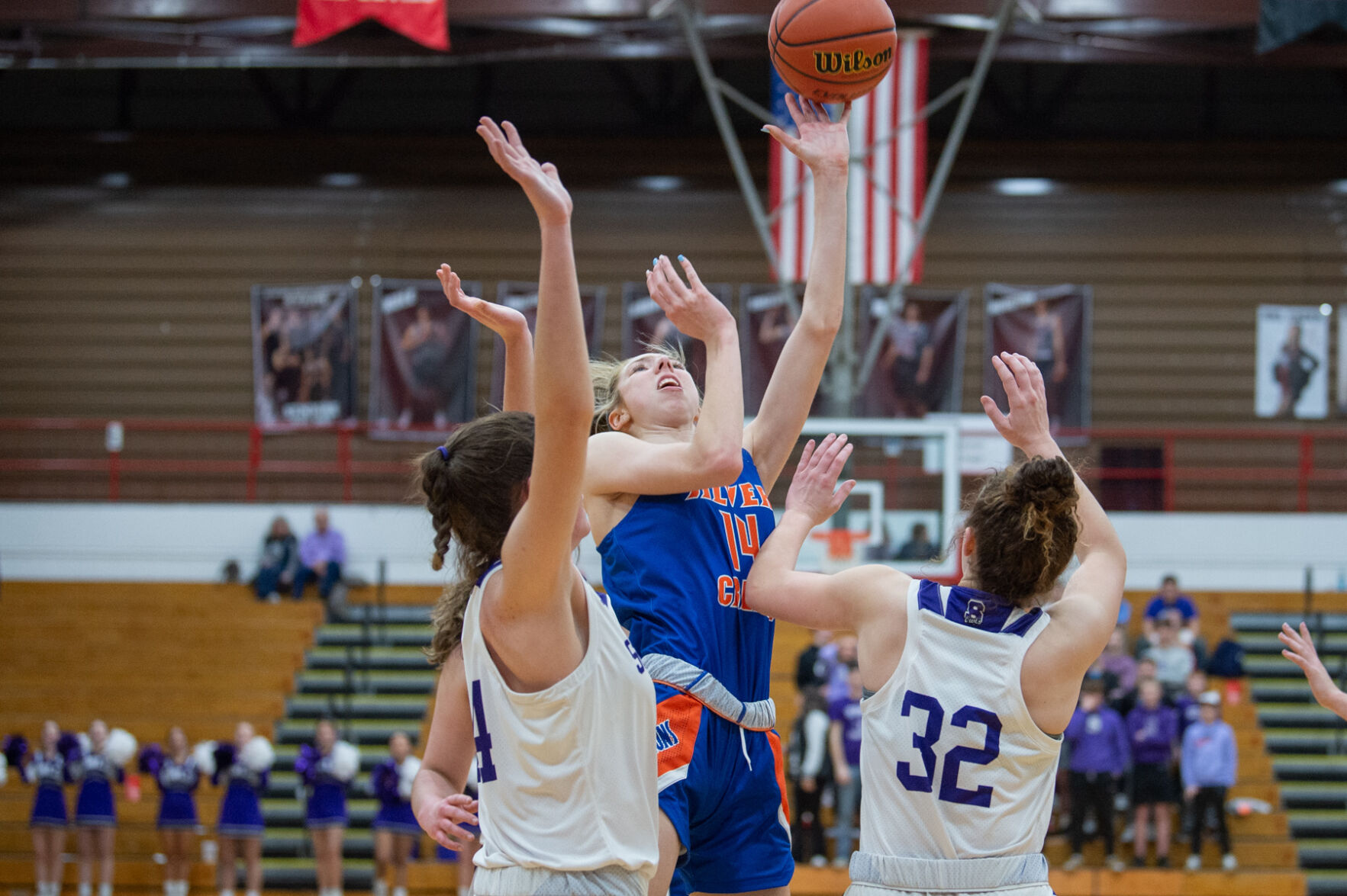 GIRLS' BASKETBALL PREVIEW: Dragons have high expectations | Sports ...