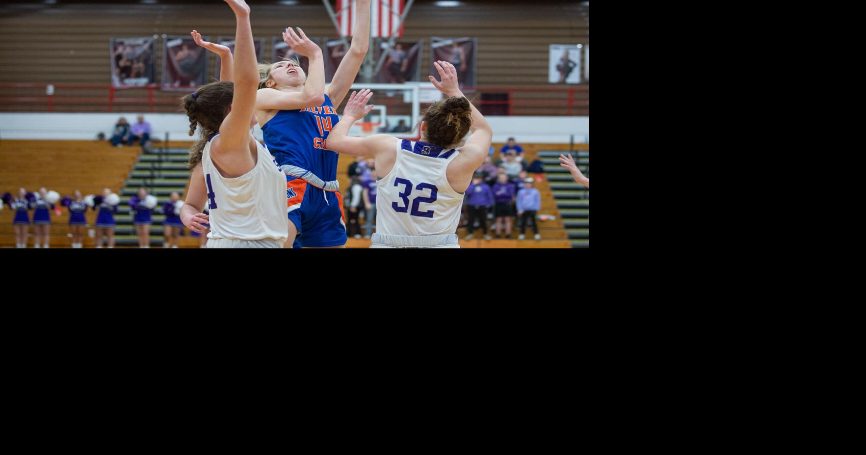 GIRLS' BASKETBALL PREVIEW: Dragons have high expectations | Sports ...