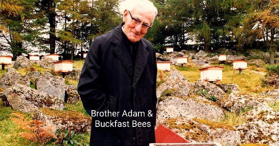 PLAN BEE: Brother Adam and the Buckfast Honey Bee | News ...
