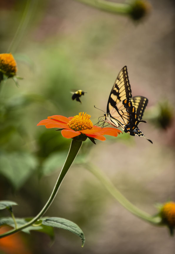 MOSSWORDS: Nothing keeps Ray Weatherholt indoors | News ...