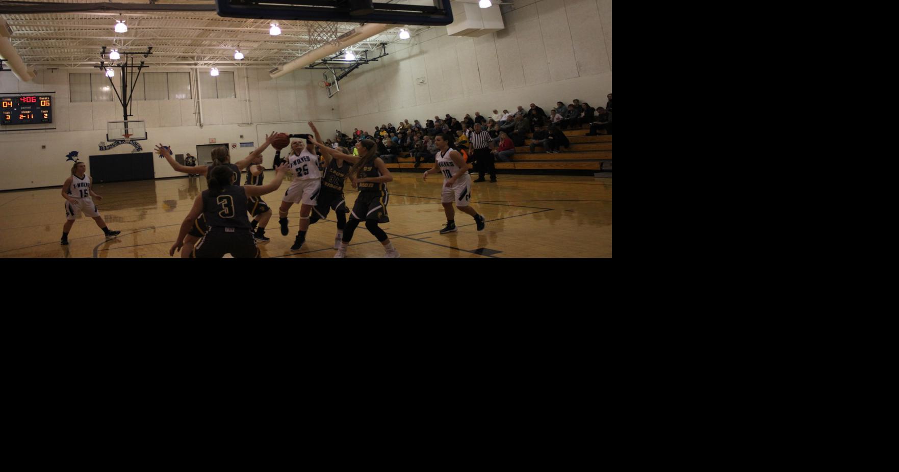 Lady Timberwolves drop two games | Iroquois County's Times-Republic ...